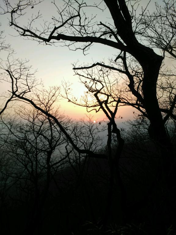 금남호남정맥(차고개-팔공산-신광재-성수산-30번국도) - Ramblr