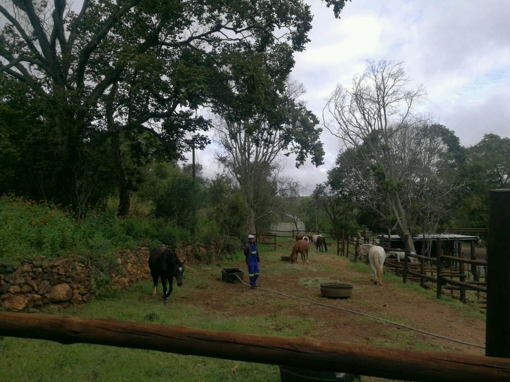Groenkloof Nature Reserve - Ramblr