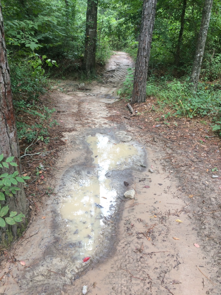 Kelly Pond Trailhead and trail toward 208 - Ramblr
