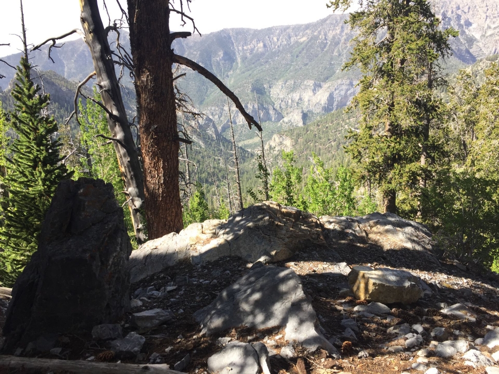 Cave Springs /Trail canyon - Ramblr