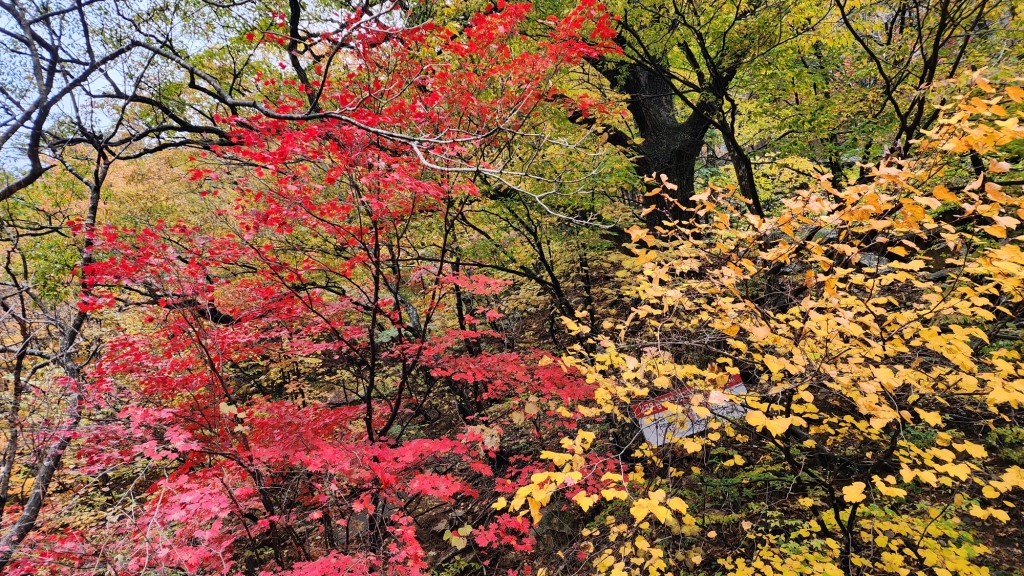 설악산 오색~소공원 - Ramblr