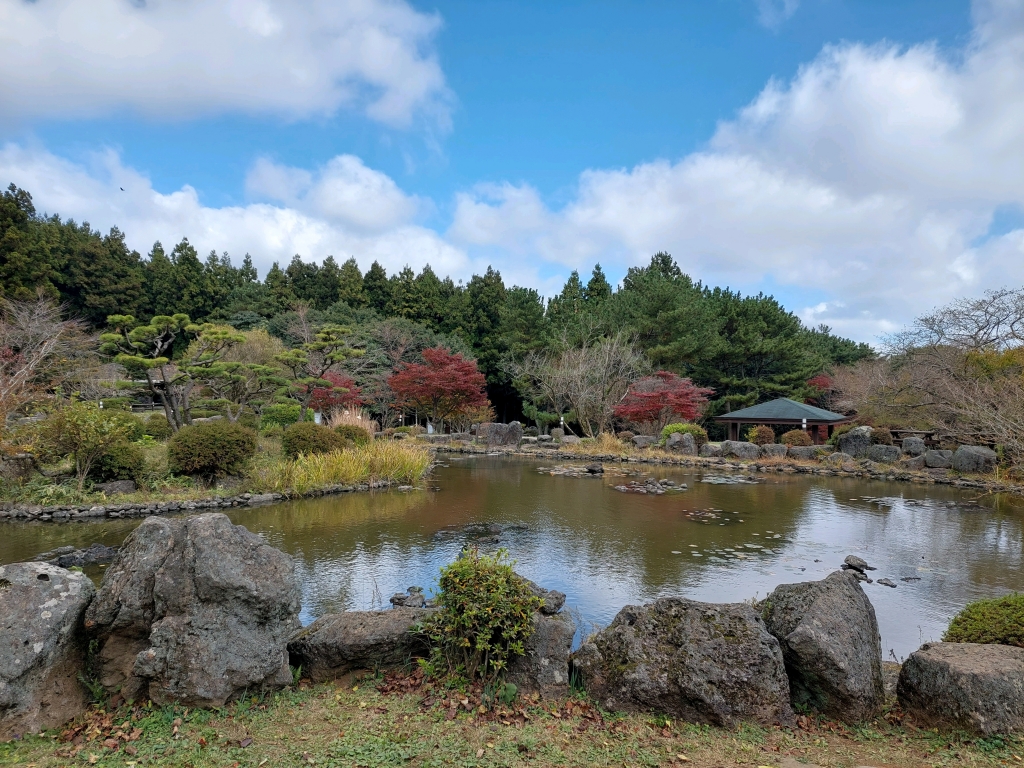 한라산 둘레길 8, 9코스 - Ramblr