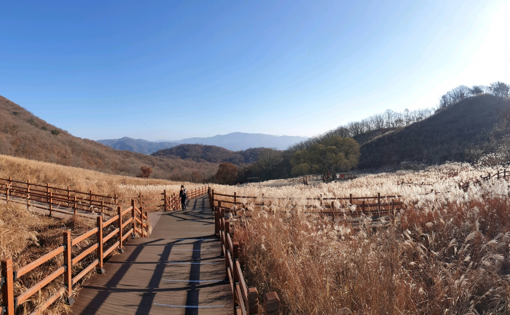 명성산(1코스~억새밭~삼각봉~정상) - Ramblr