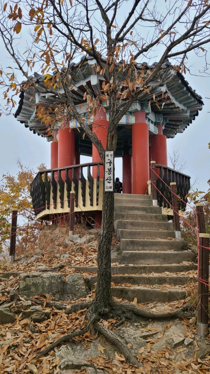 대전 구봉산(빼울약수터) - Ramblr