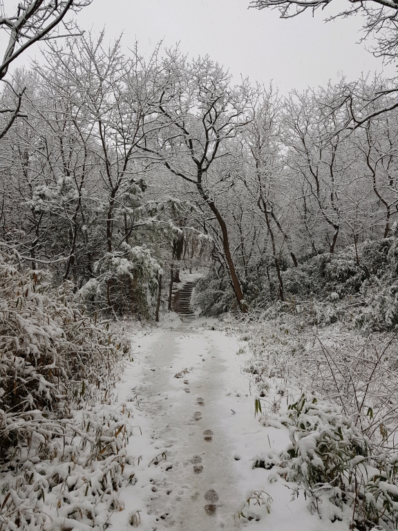 포항 눈 오는날 걷기 02/15/2023 - Ramblr