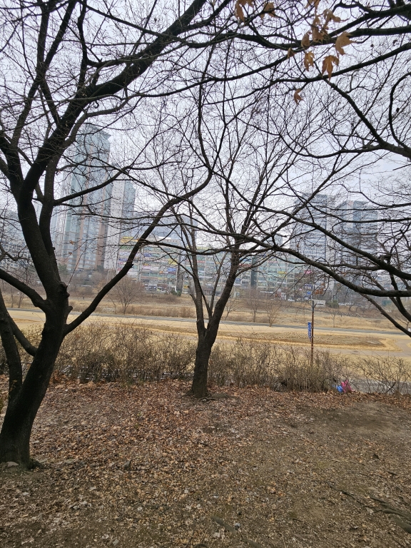 정자-구미동 - Ramblr