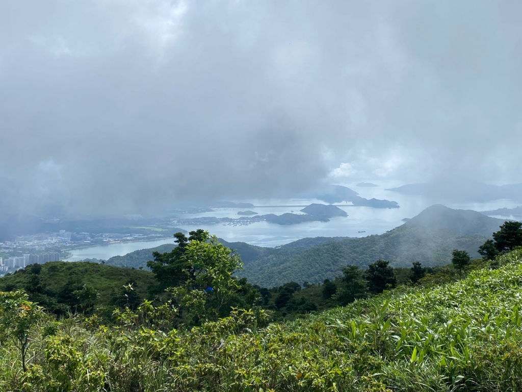 城門水塘菠蘿壩小巴站~畔塘徑~四城林徑~六徑脊~麥徑~電塔脊~衛徑~碗窰路~大埔墟站 - Ramblr