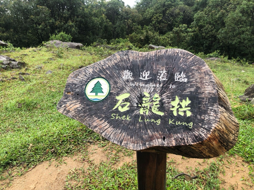 20230907【週四】荃灣-元荃古道-南坑排 - Ramblr