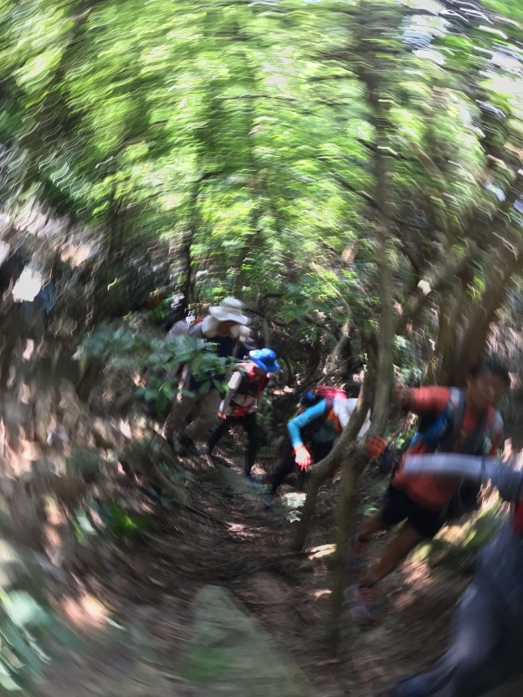 豐力樓,筆架南坑,436南脊,竹林脊,藤竹徑,貴妃徑,十二管,沙田頭 - Ramblr