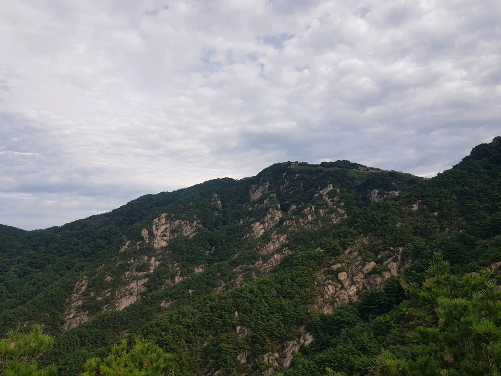 화왕산(1코스~2코스) - Ramblr