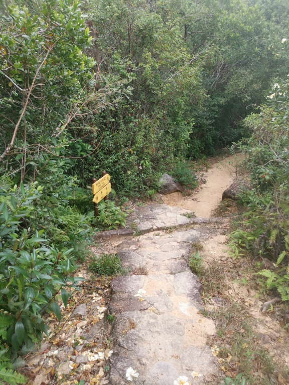 虎吼石河 一樹坡 昂平 - Ramblr