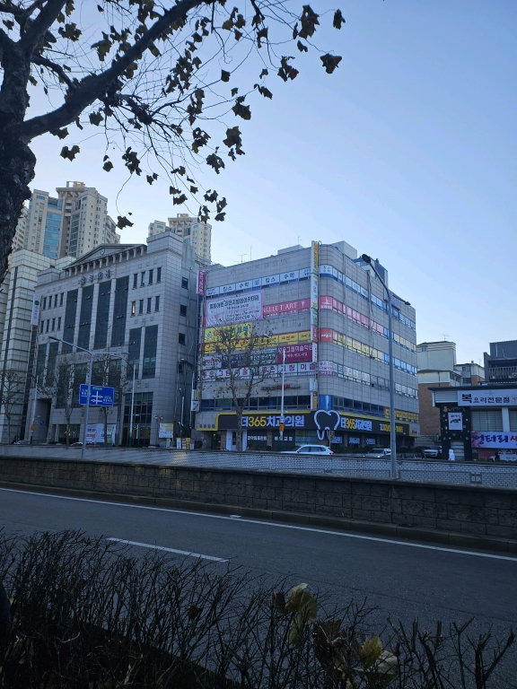 양천구 분임 - Ramblr