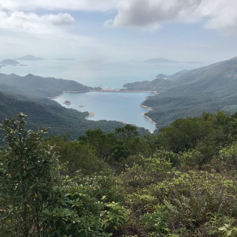 石壁水塘西荒徑,鳳壁石澗,石壁秘村,舊鳳徑4段,木魚山,心經簡林,法門古道,石門甲，滿東邨 - Ramblr