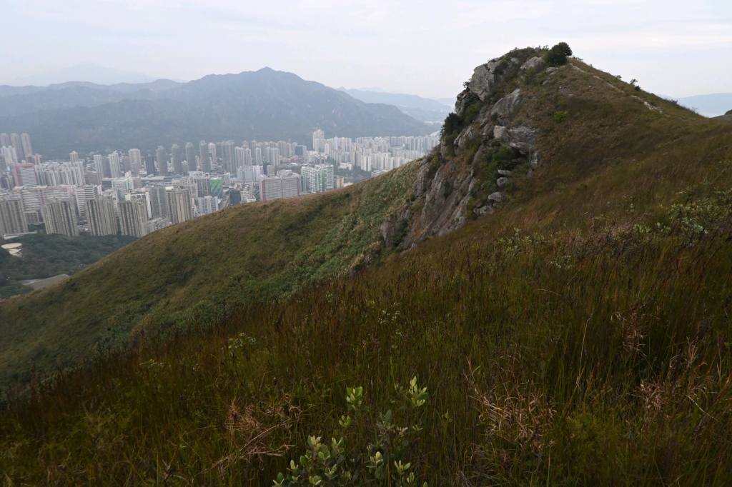 1.25.24 #週四WFH #良景 #獅子回頭 #月牙谷 #青松紅壑 #方包石 #花香爐頂 #猪仔石 #龍鼓灘 - Ramblr