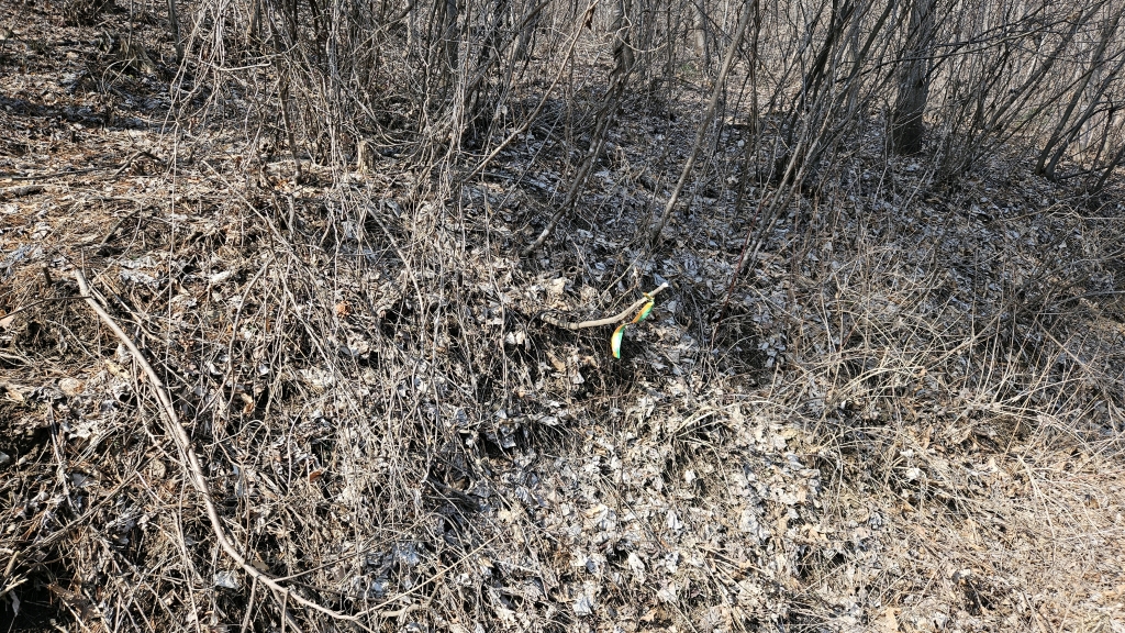 청운골코스 - Ramblr