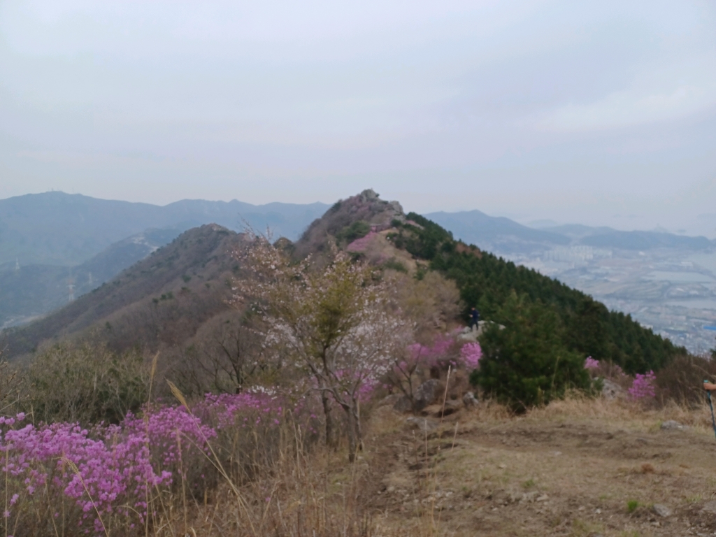 장복산(진해) - Ramblr