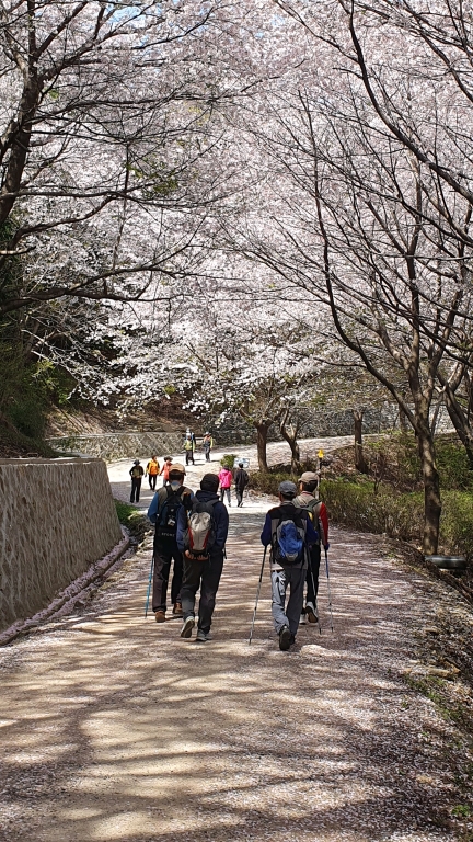 엄광산 둘레길 - Ramblr