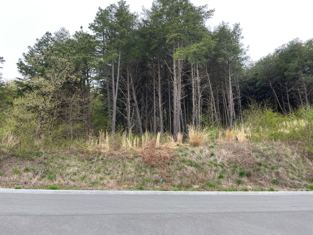 봉화산 계획 1,2 - Ramblr