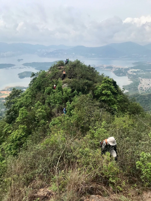 大埔汀角路山寮站,純陽峰,犁壁山,黃嶺,屏風山,鶴藪水塘,馬尾下 - Ramblr