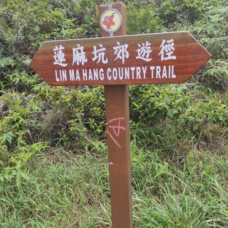 萬屋直坑過紅花 - Ramblr