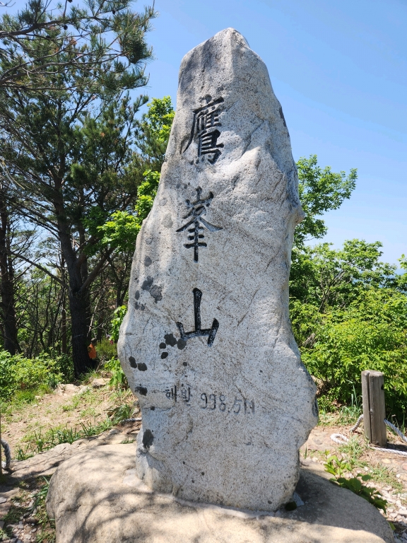 2024.05.19 응봉산 - Ramblr