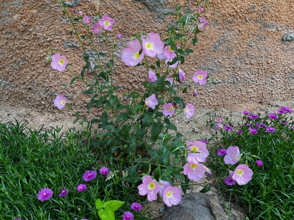 담양 나들이 - Ramblr