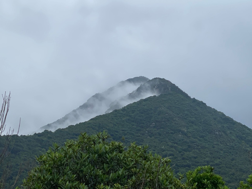 2024/06/11 大水坑恆德亭半坳嶺西脊～青蛙石～馬鞍山村～牛馬脊～牛押山～吊手岩～石疊脊～利安 - Ramblr