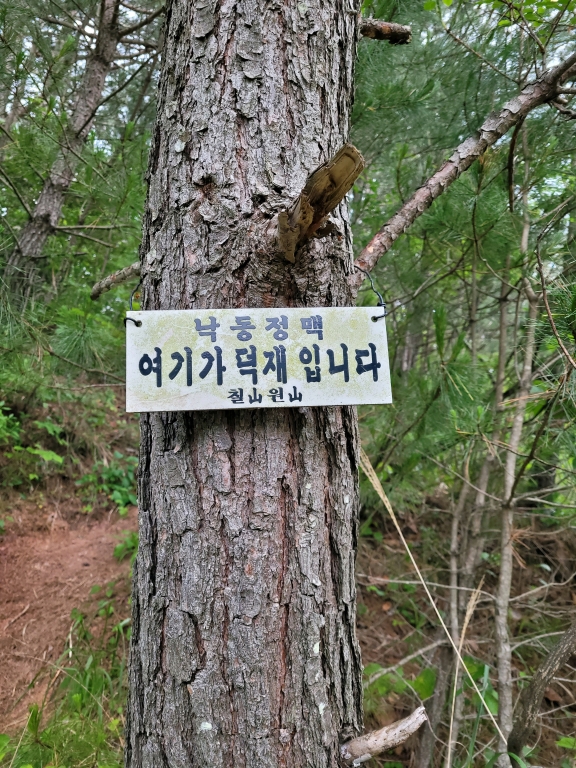 낙동정맥 6구간(덕재-한티재) - Ramblr