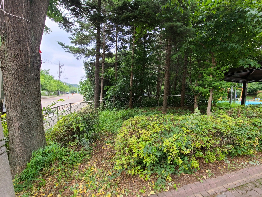 장자어린이 - Ramblr