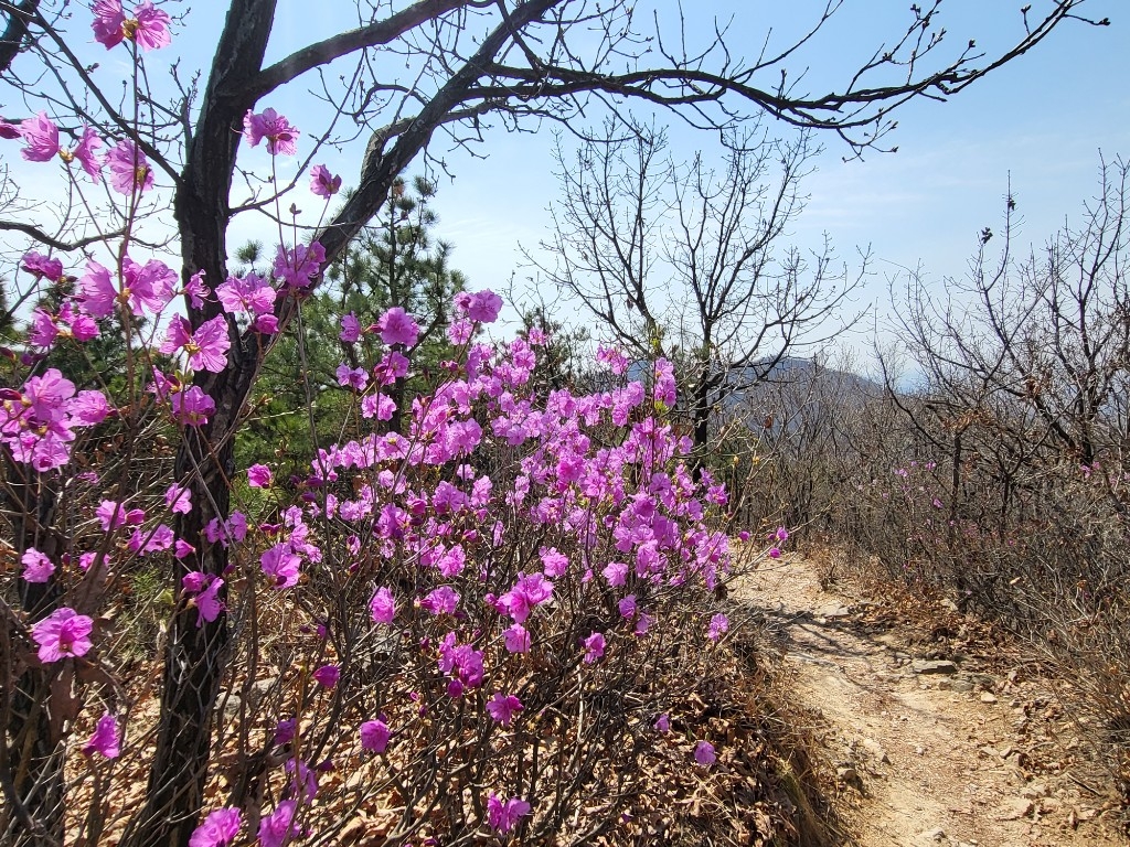 2024인천종주길02(천마산 천마바위) - Ramblr