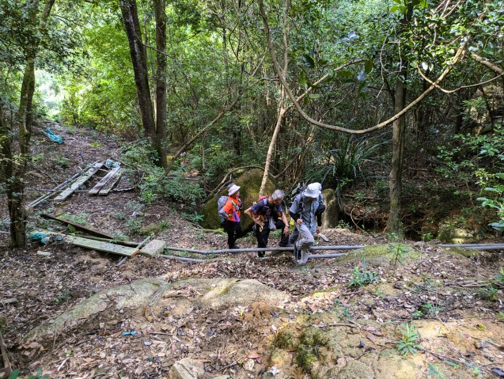 沙田西林寺、香林別墅、昂堂山、落雄蛇出洞墓穴、出大圍 - Ramblr