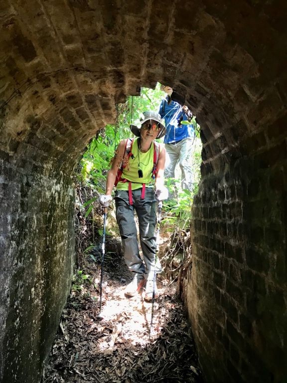 鍾山台,九華徑村，金山，石仙谷，衛徑，313、312、311機槍堡，沙田嶺，顯徑 - Ramblr