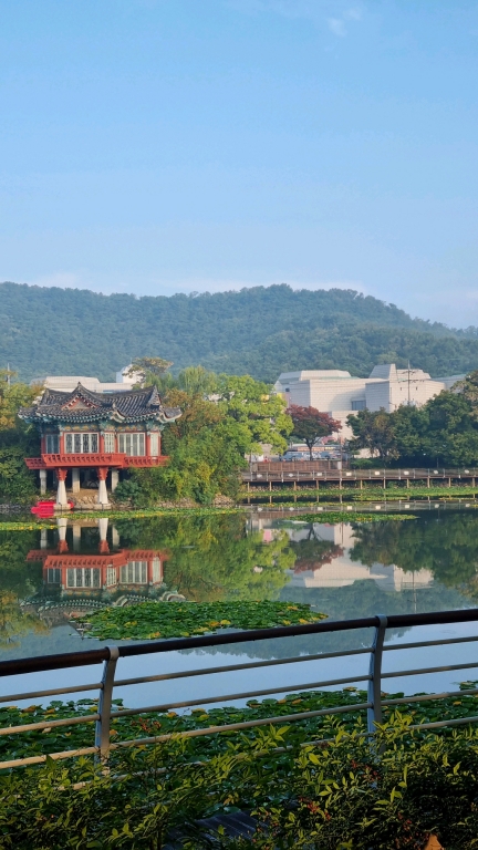 아침 나절 두류공원 금봉산 금봉숲길 맨발걷기 - Ramblr