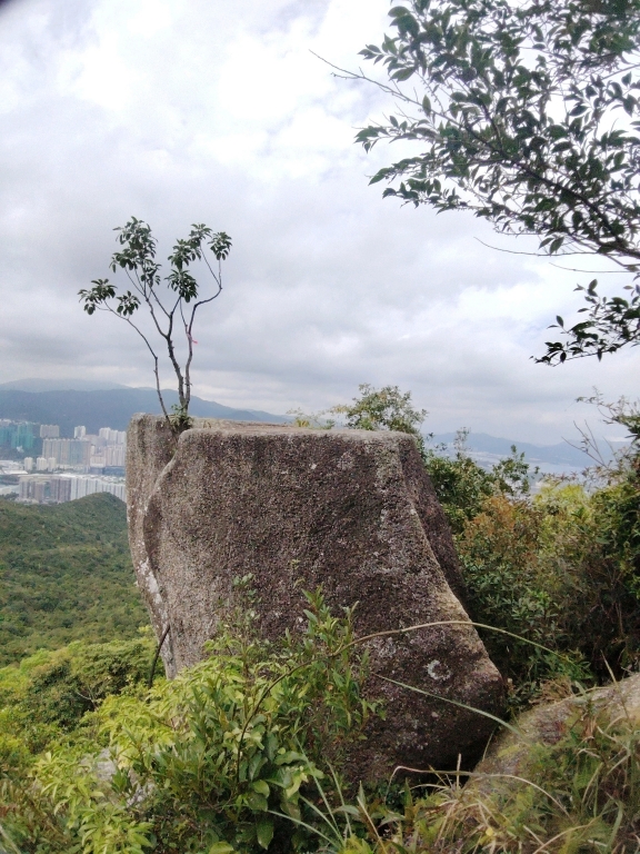 石門休憩處~石門走廊~石室~一樹石~魚簍石~女婆山~女婆西北脊~危險倉隱脊~4水管徑~沙田醫院 - Ramblr