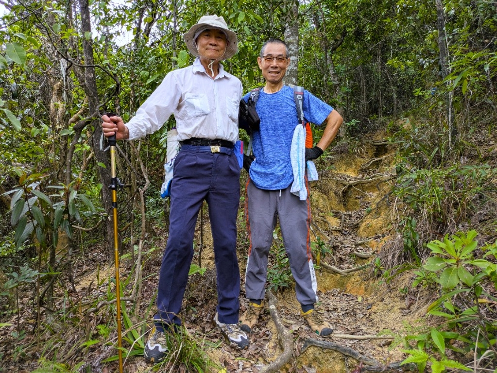 2025-05-25星期日-六合脊_313古道_九龍水塘 - Ramblr