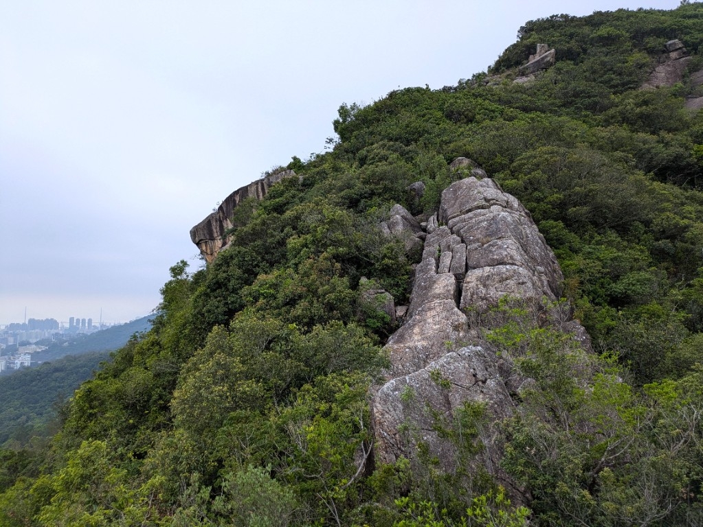 2025-05-31星期六-黃大仙祠 雞胸南脊 獅尾脊 石天梯 黃大仙地鐵站 - Ramblr